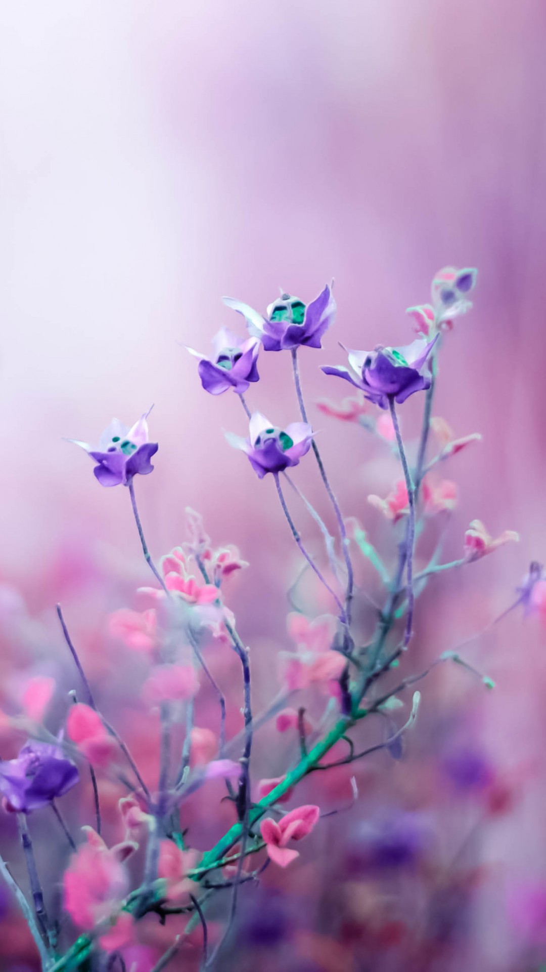 Vertical Spring Flowers Wallpapers - Wallpaper Cave