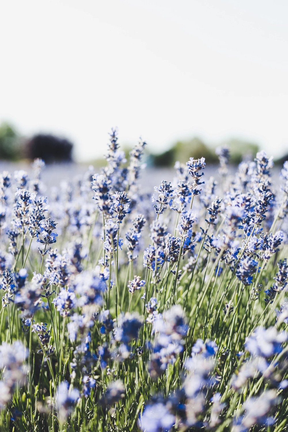 Blue Aesthetic Spring Wallpapers - Wallpaper Cave