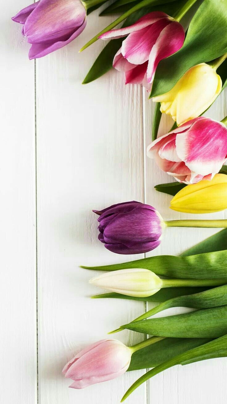 Vertical Spring Flowers Wallpapers - Wallpaper Cave