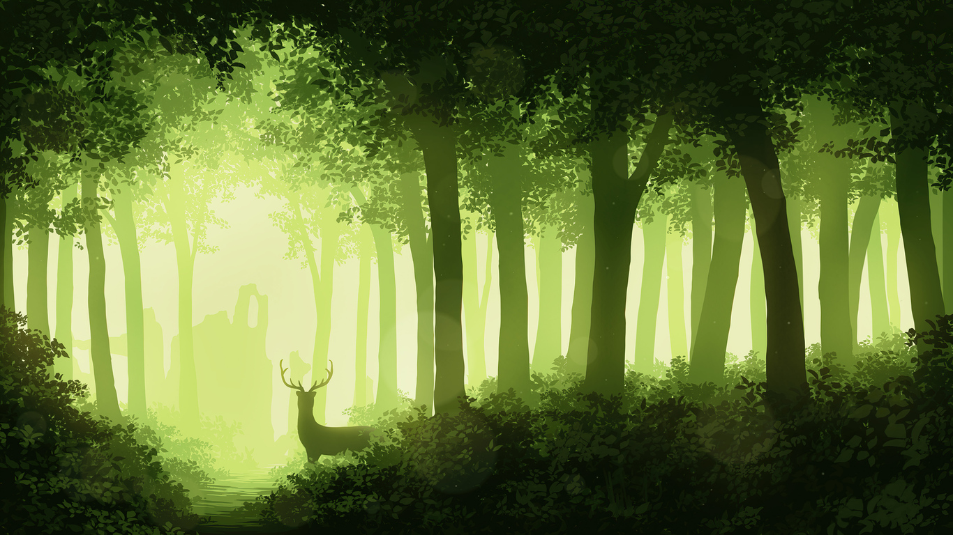 Forest Drawing Wallpapers - Wallpaper Cave