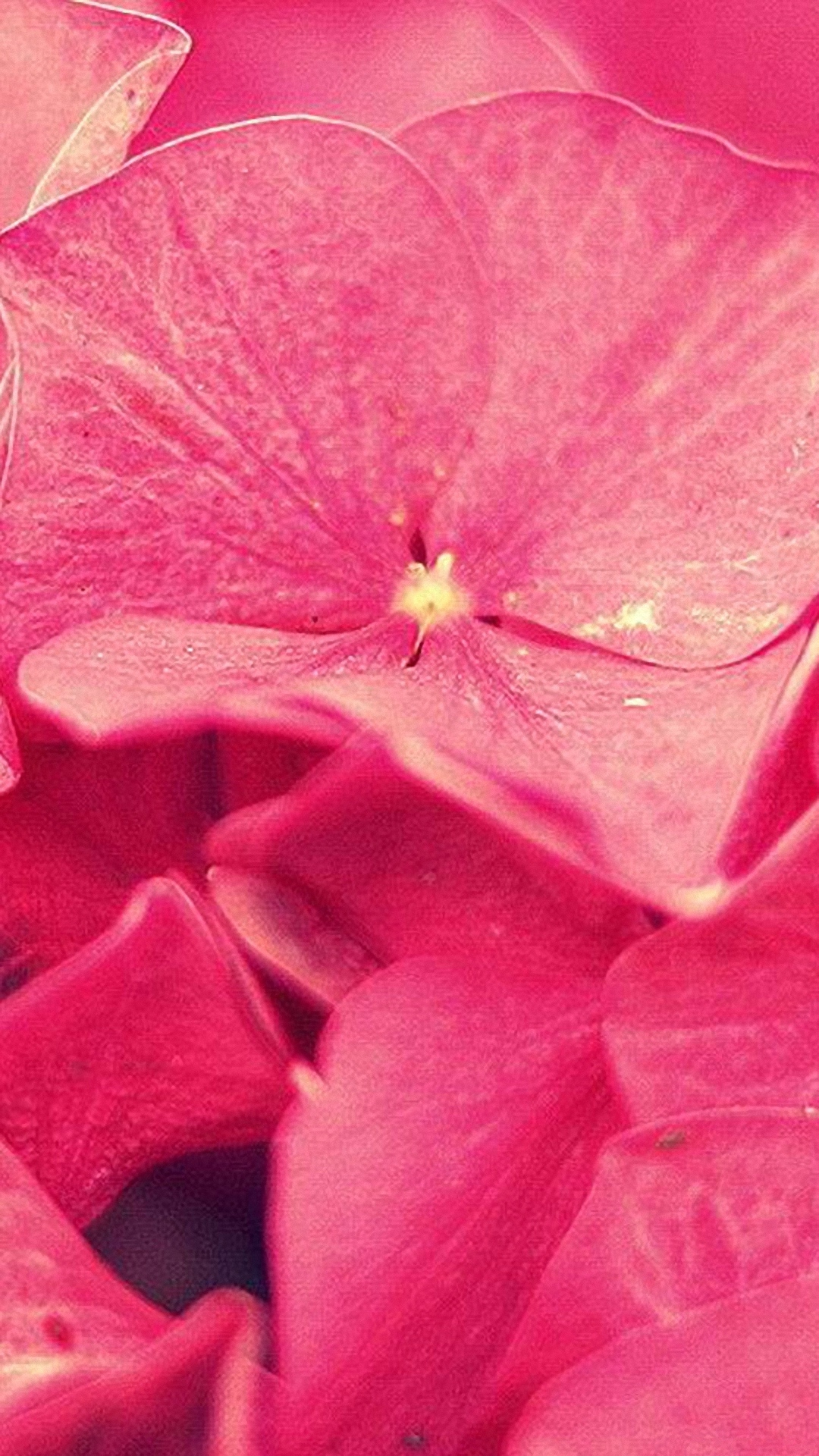 iPhone 7 Pink Wallpapers - Wallpaper Cave