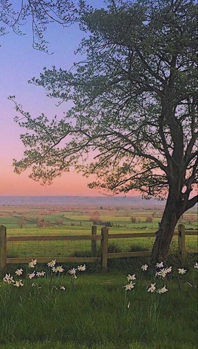 Grandmacore iPhone Wallpapers - Wallpaper Cave