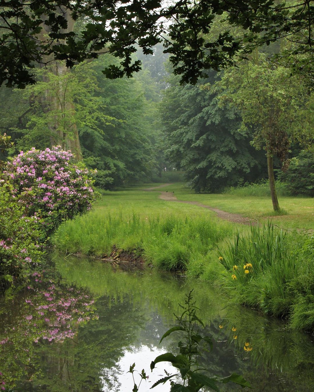 Grandmacore iPhone Wallpapers - Wallpaper Cave