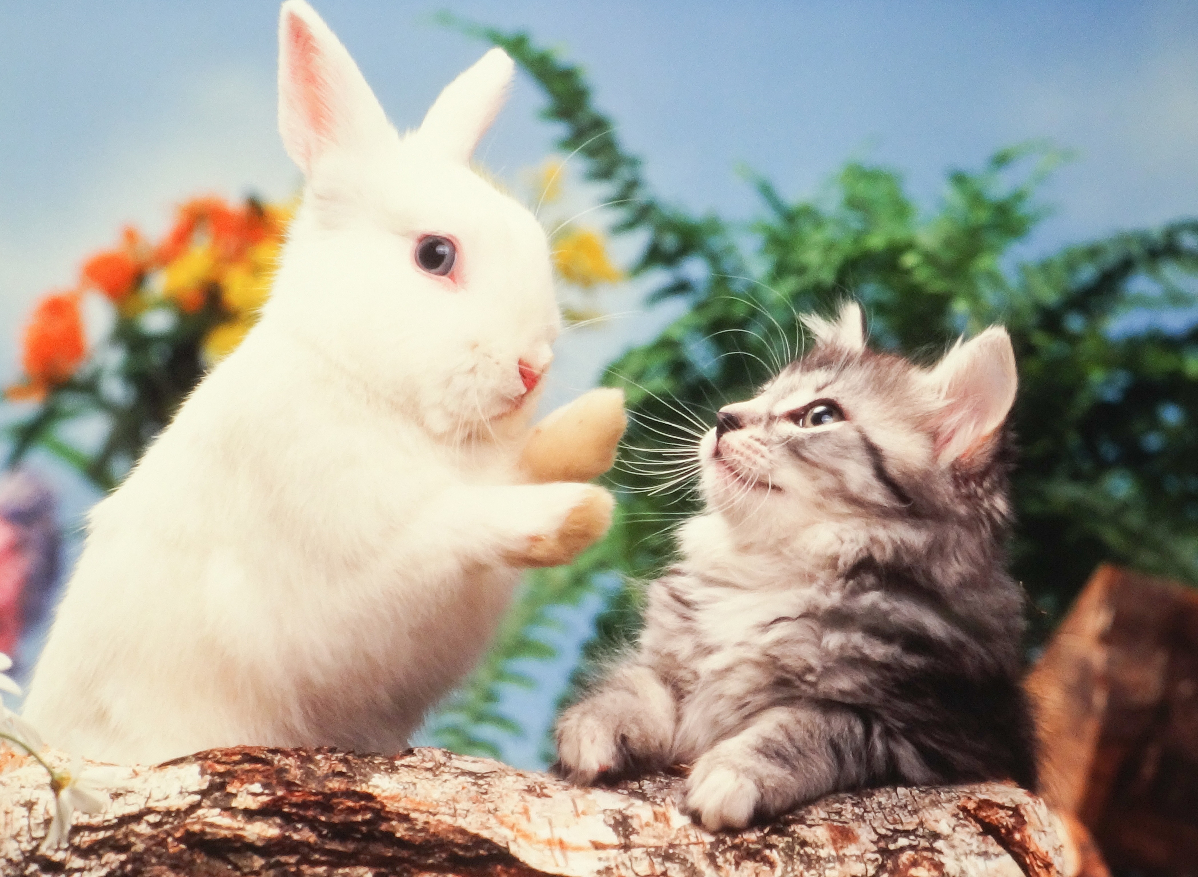 Kittens Easter Wallpapers - Wallpaper Cave