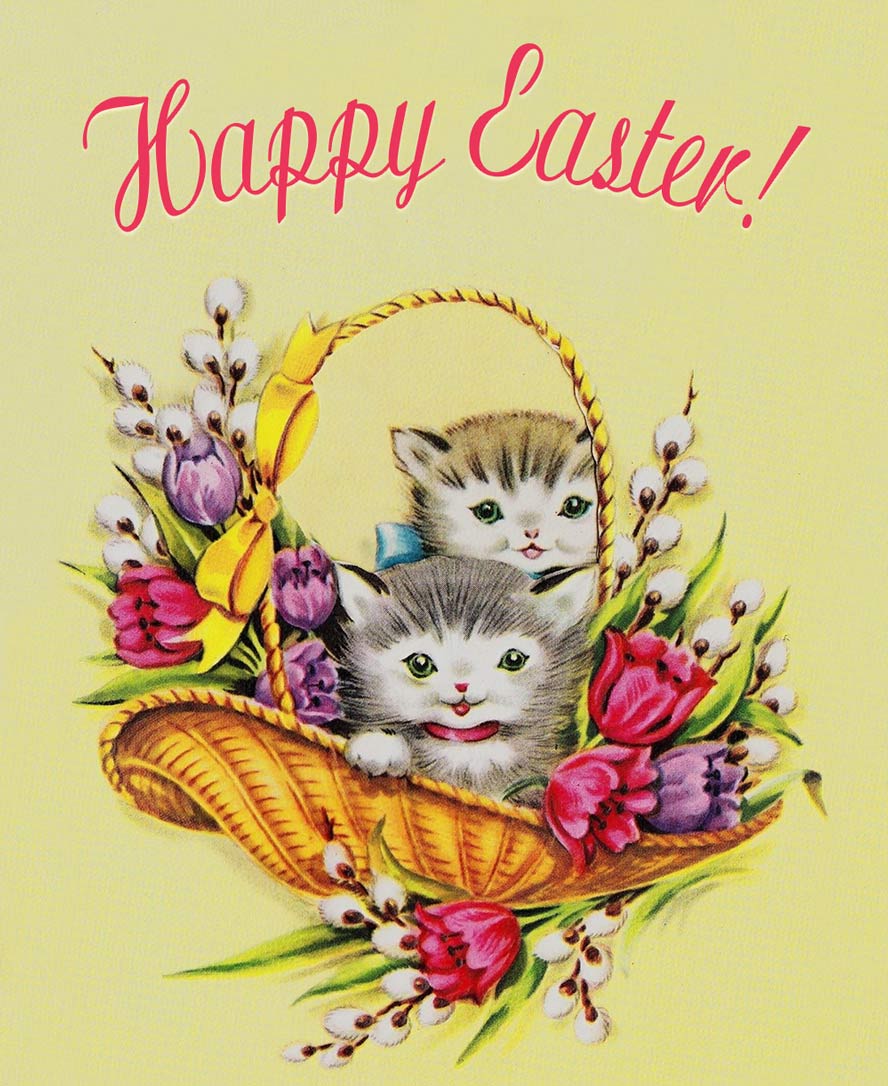 Kittens Easter Wallpapers - Wallpaper Cave