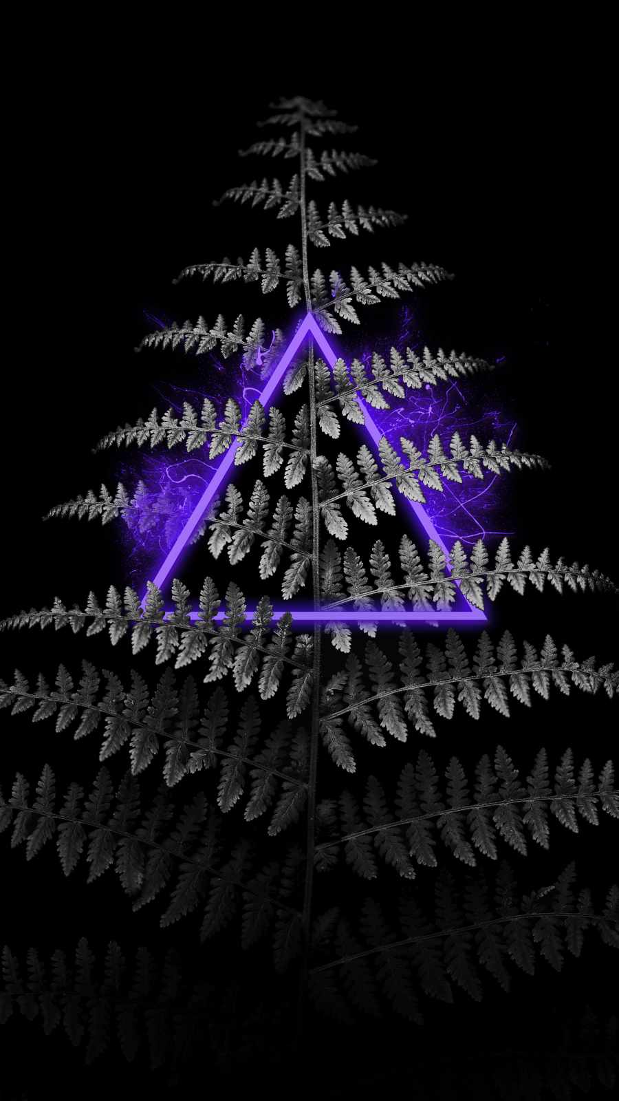 Neon Tree Wallpapers - Wallpaper Cave