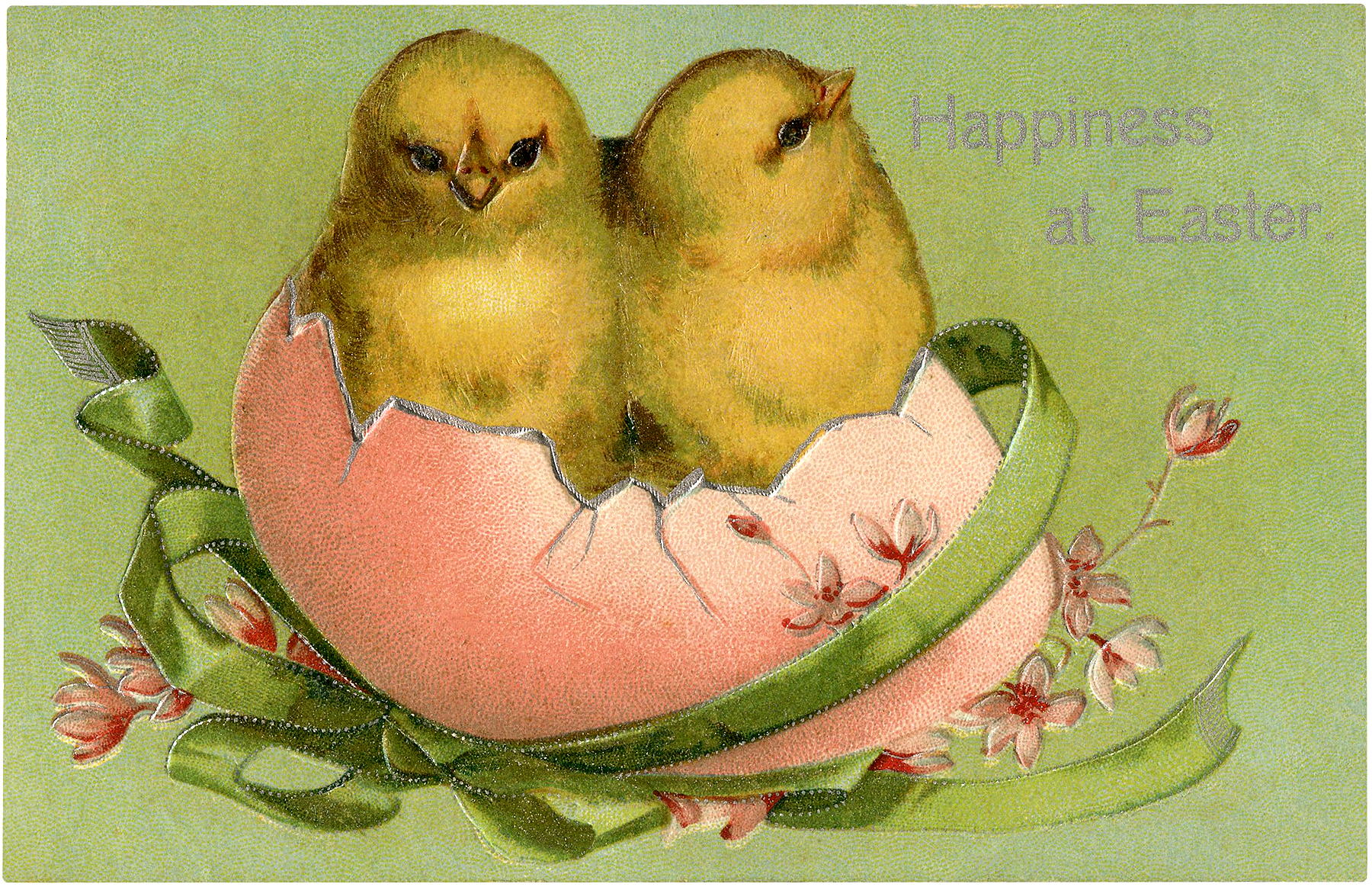 Baby Easter Chicks Wallpapers - Wallpaper Cave