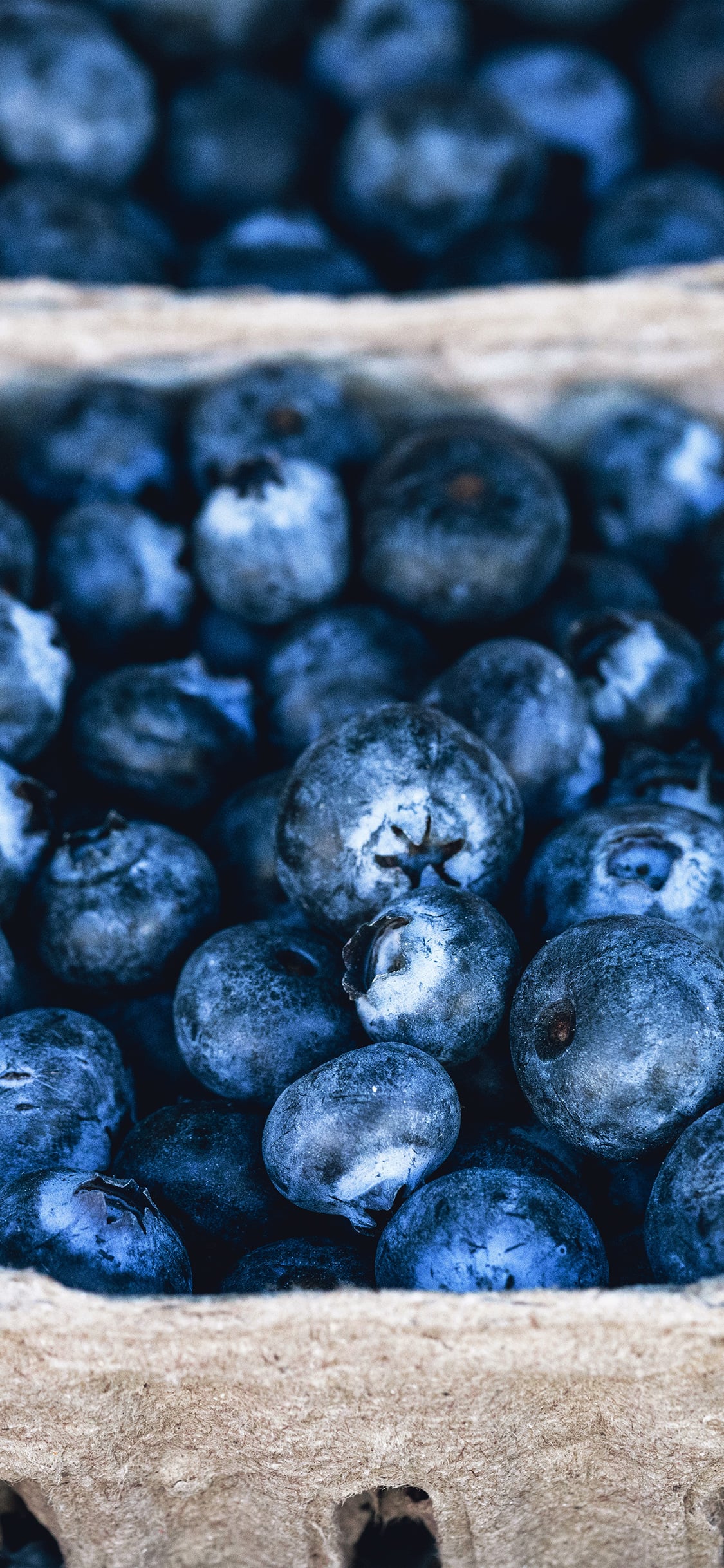 Food Spring Wallpapers - Wallpaper Cave