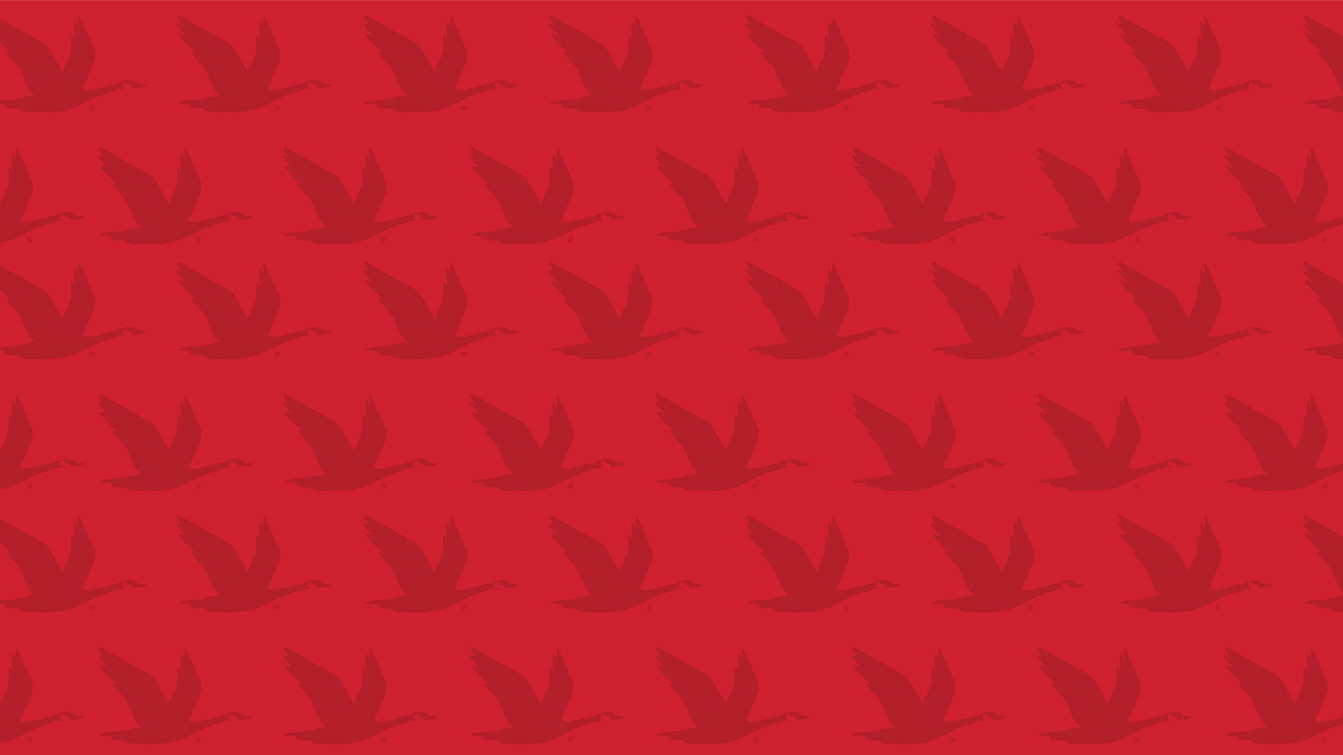 Wawa Wallpapers - Wallpaper Cave