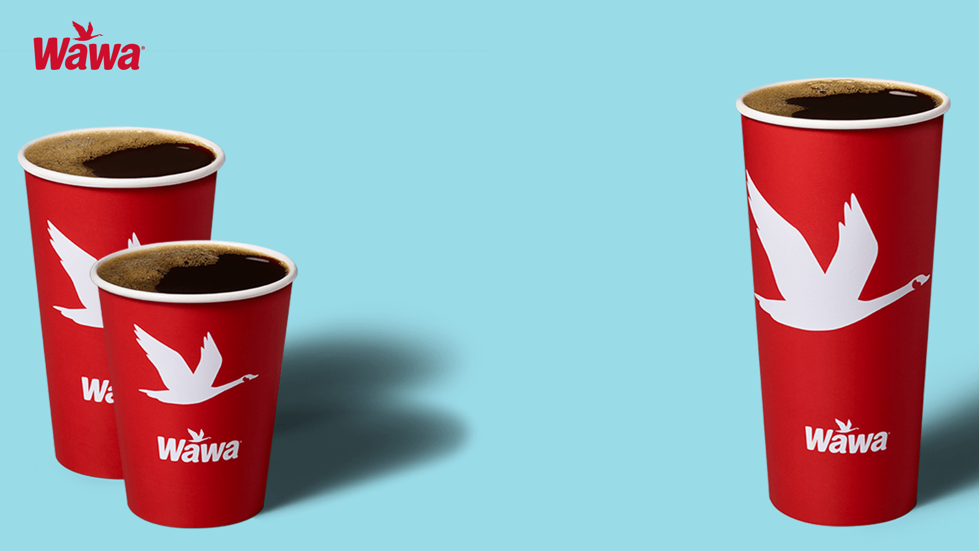 Wawa Wallpapers - Wallpaper Cave