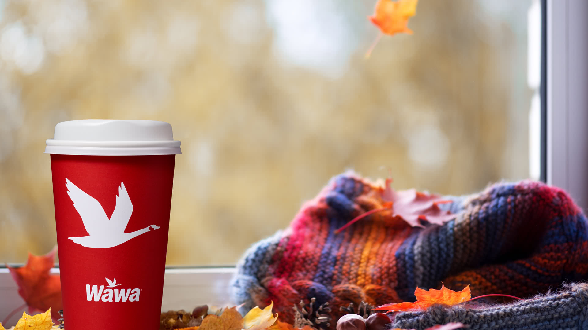 Wawa Wallpapers - Wallpaper Cave