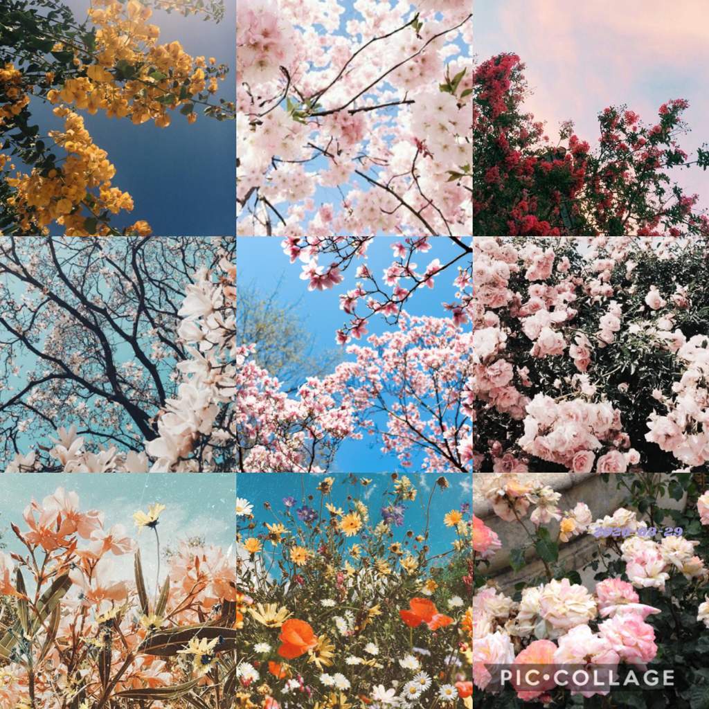 Spring Flowers Aesthetic Collage Wallpapers - Wallpaper Cave
