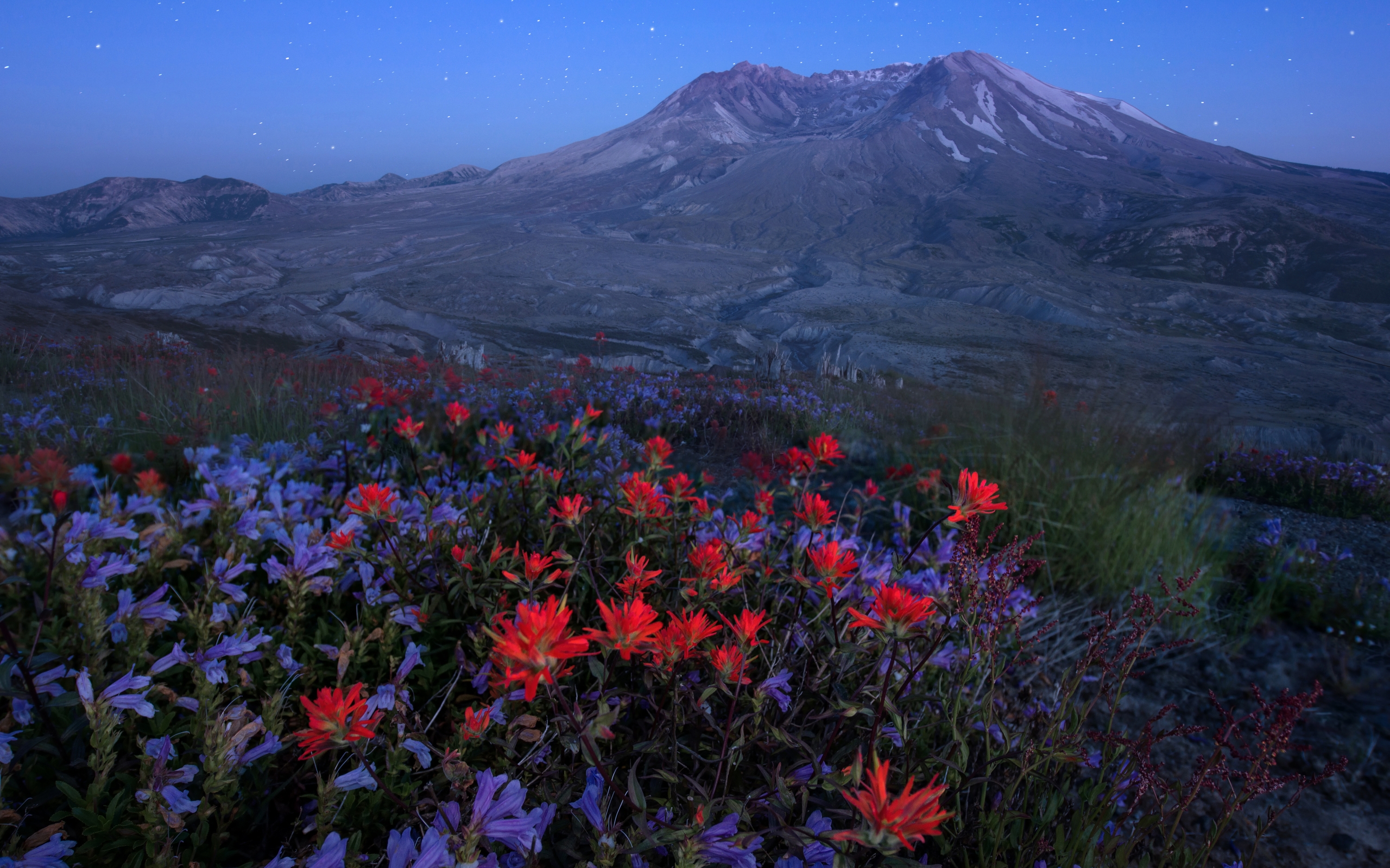 Mount St Helens Wallpapers - Wallpaper Cave