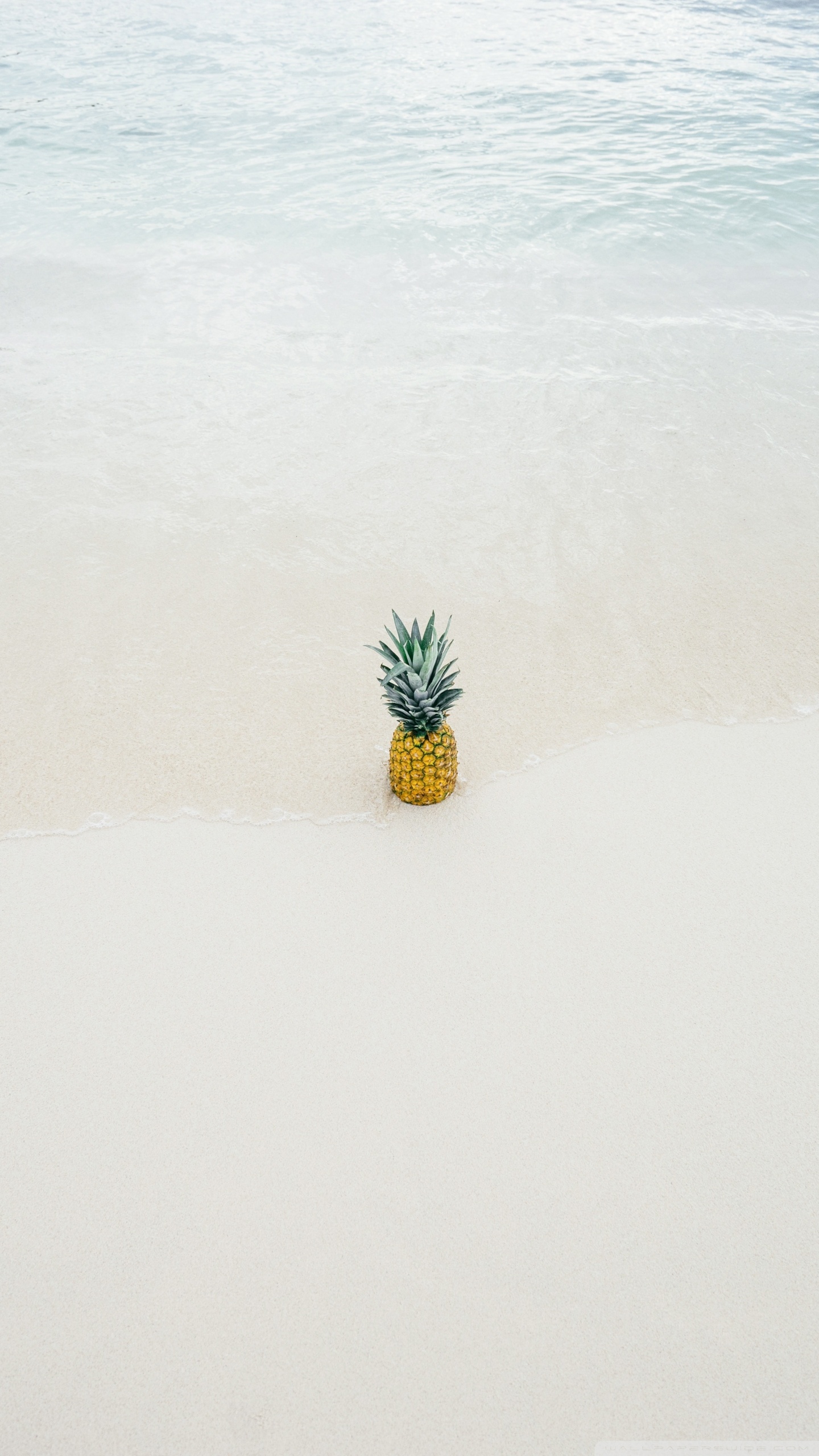 Pineapples And Summer Wallpapers - Wallpaper Cave