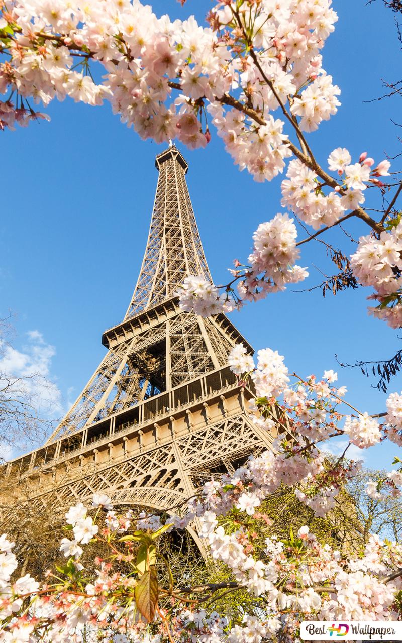 Samsung Spring Wallpapers - Wallpaper Cave