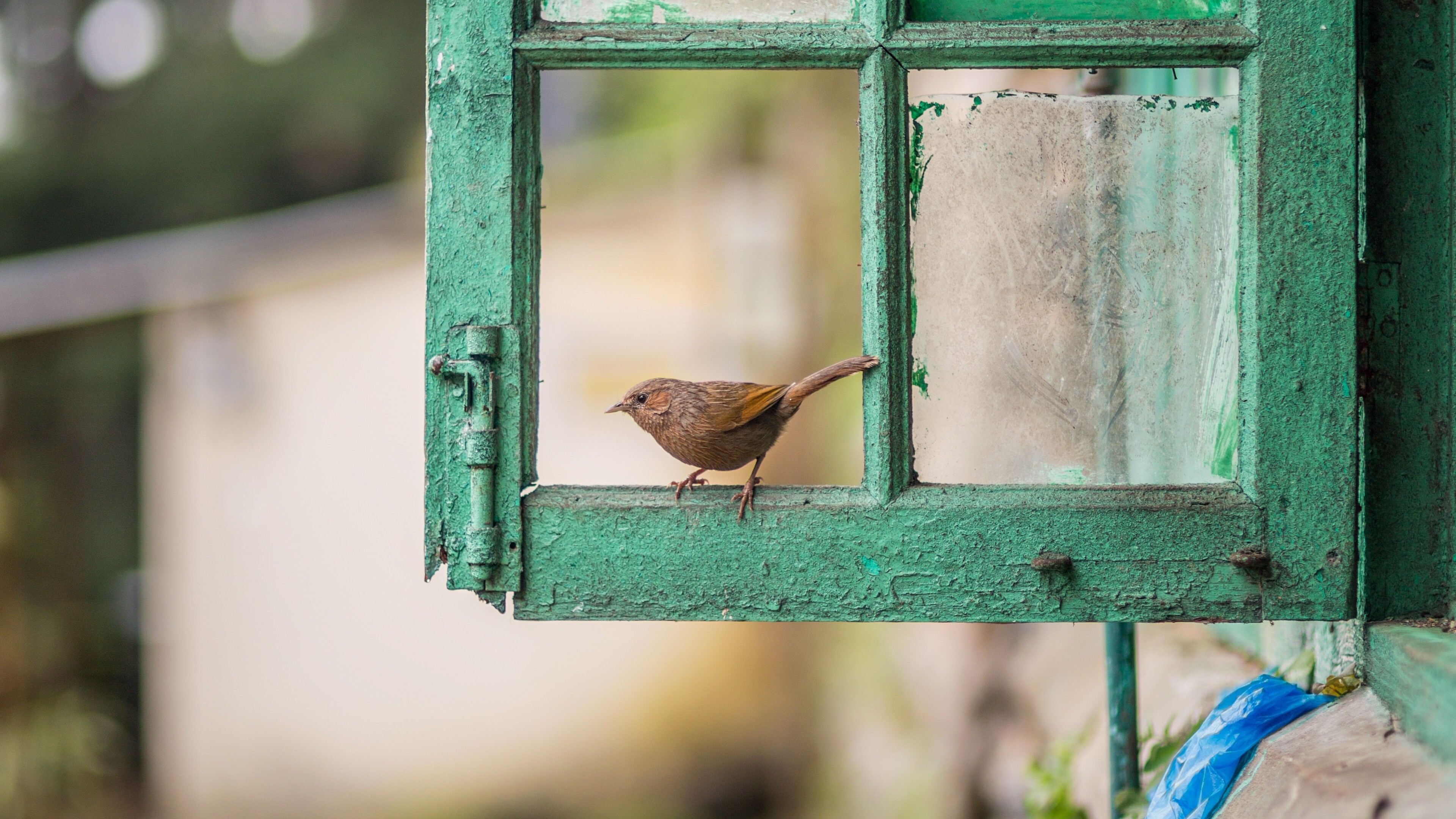 Window Frame Wallpapers - Wallpaper Cave