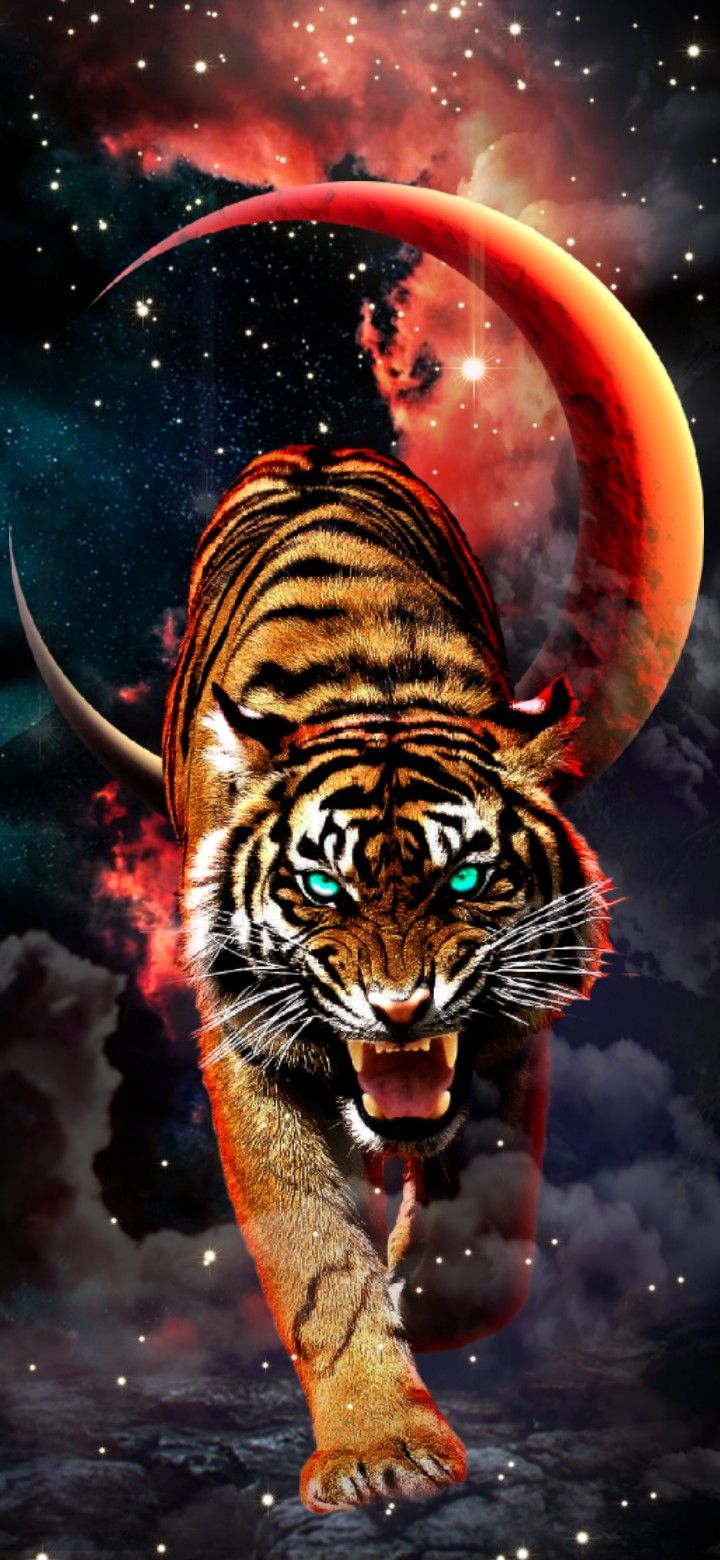 Space Tiger Wallpapers - Wallpaper Cave