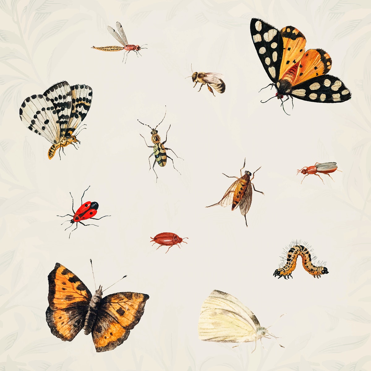 Vintage Butterfly Wallpapers - Wallpaper Cave