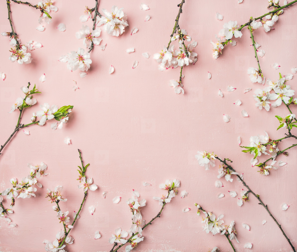 Flower Spring Pink Wallpapers - Wallpaper Cave