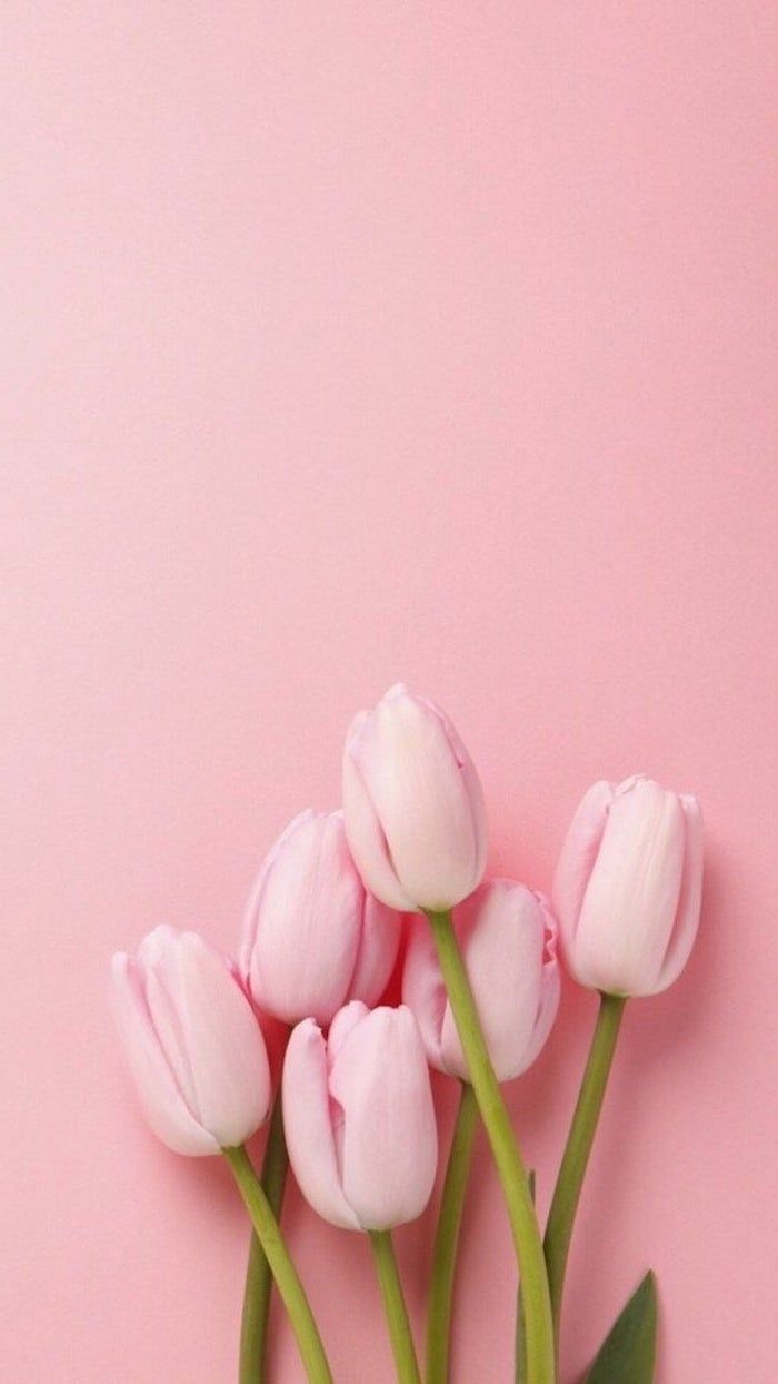 Spring Flower Tulip Wallpapers - Wallpaper Cave