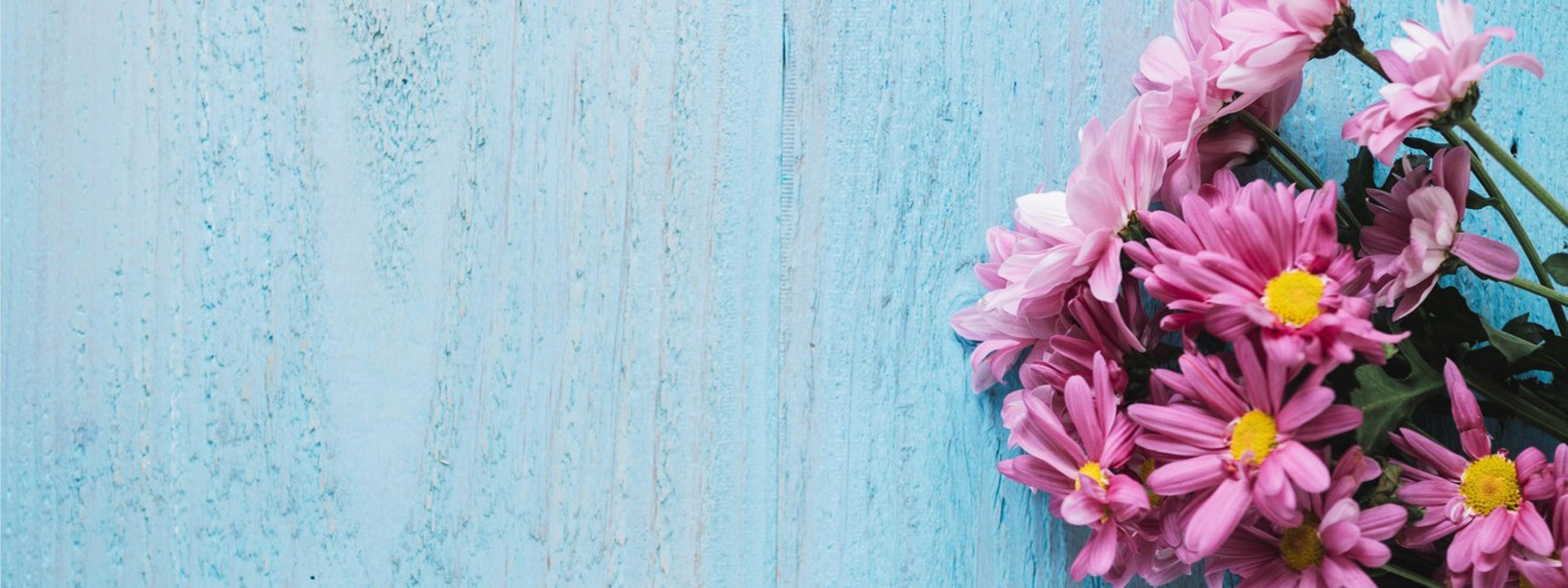 Spring Flower Pink Wallpapers - Wallpaper Cave