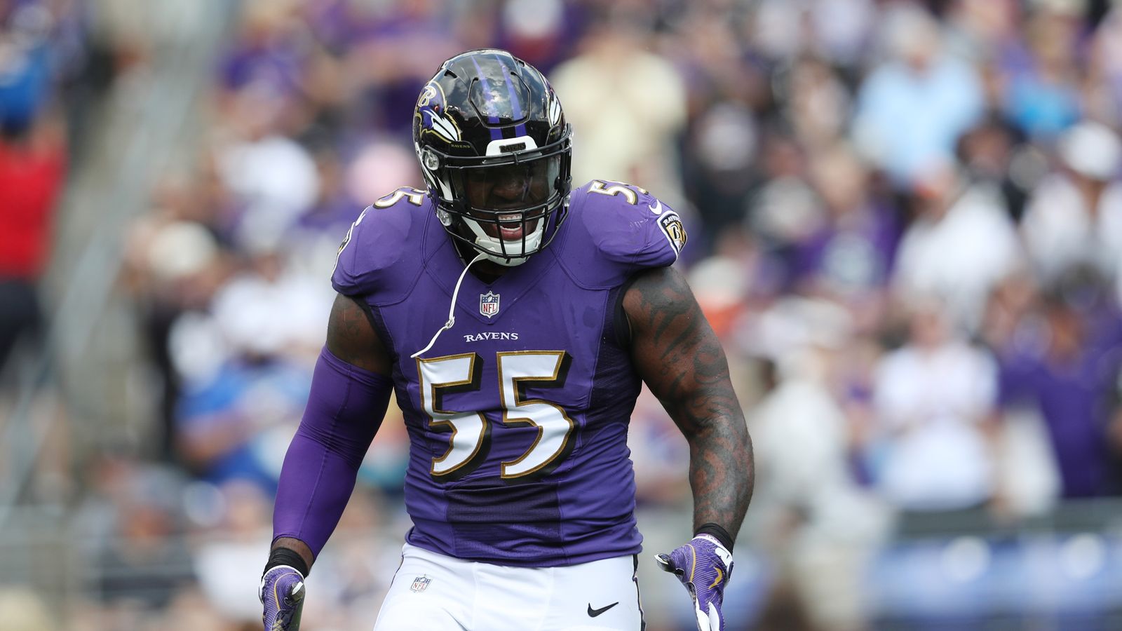 Terrell Suggs Wallpapers - Wallpaper Cave