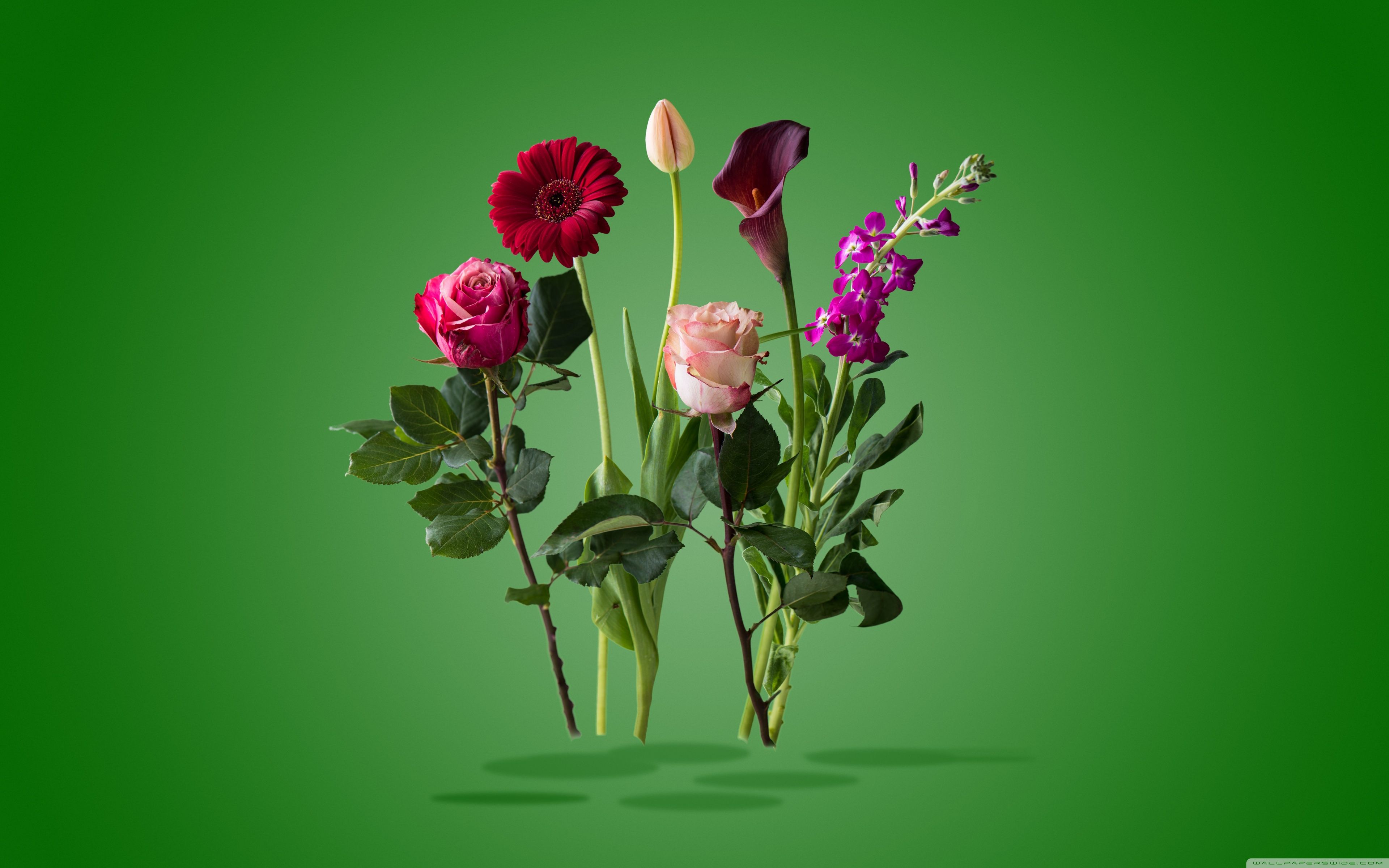 Spring 4k Art Wallpapers - Wallpaper Cave