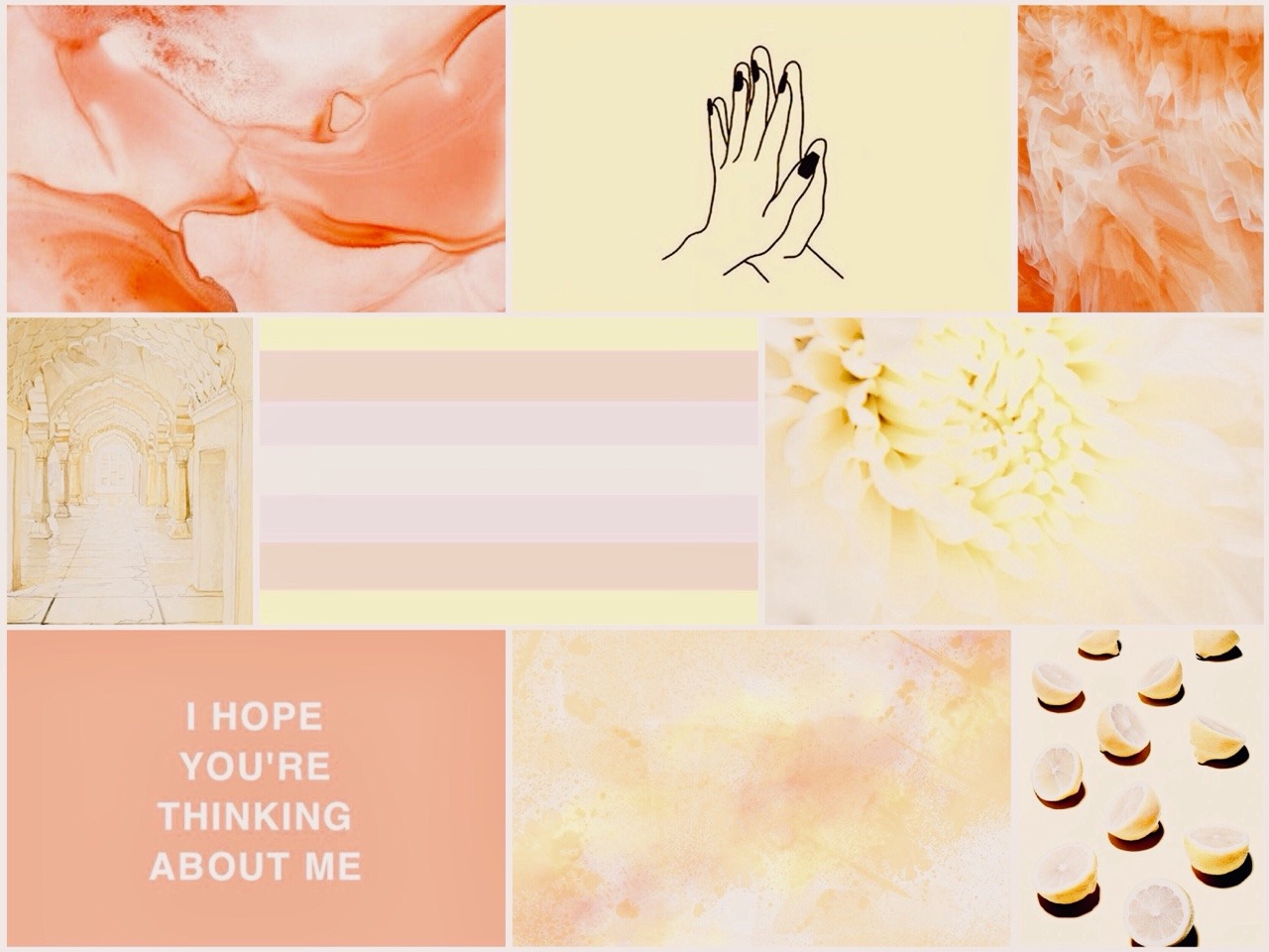 Pangender Wallpapers - Wallpaper Cave