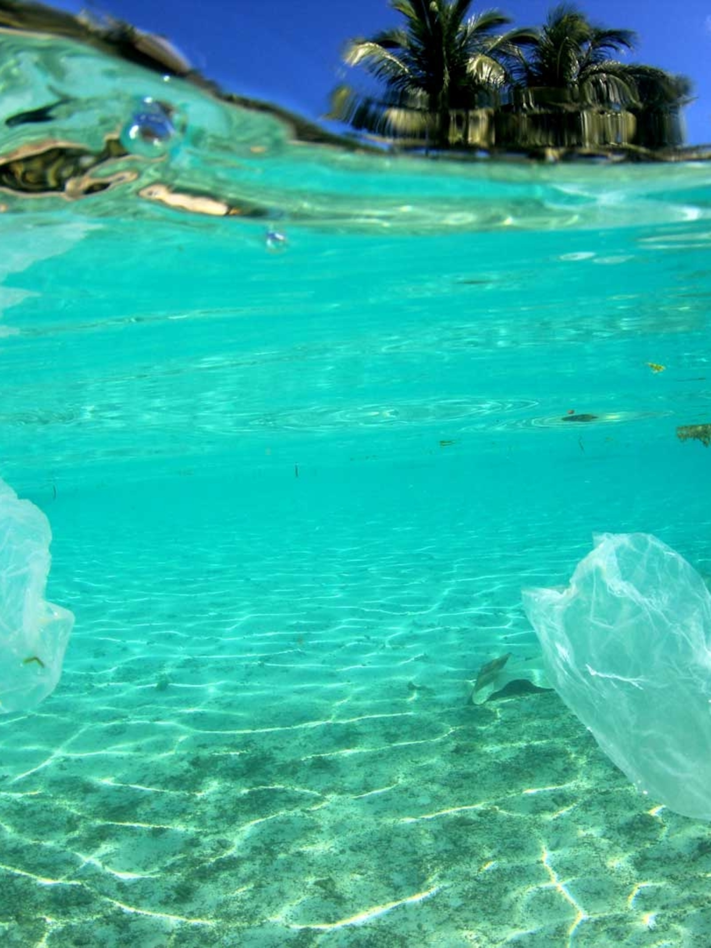 Ocean Pollution Wallpapers - Wallpaper Cave