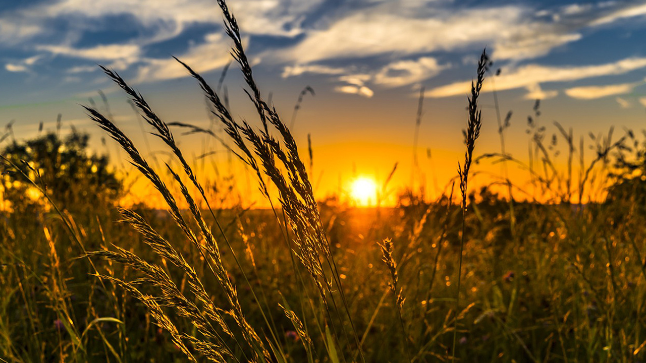 Hot Weather Wallpapers - Wallpaper Cave