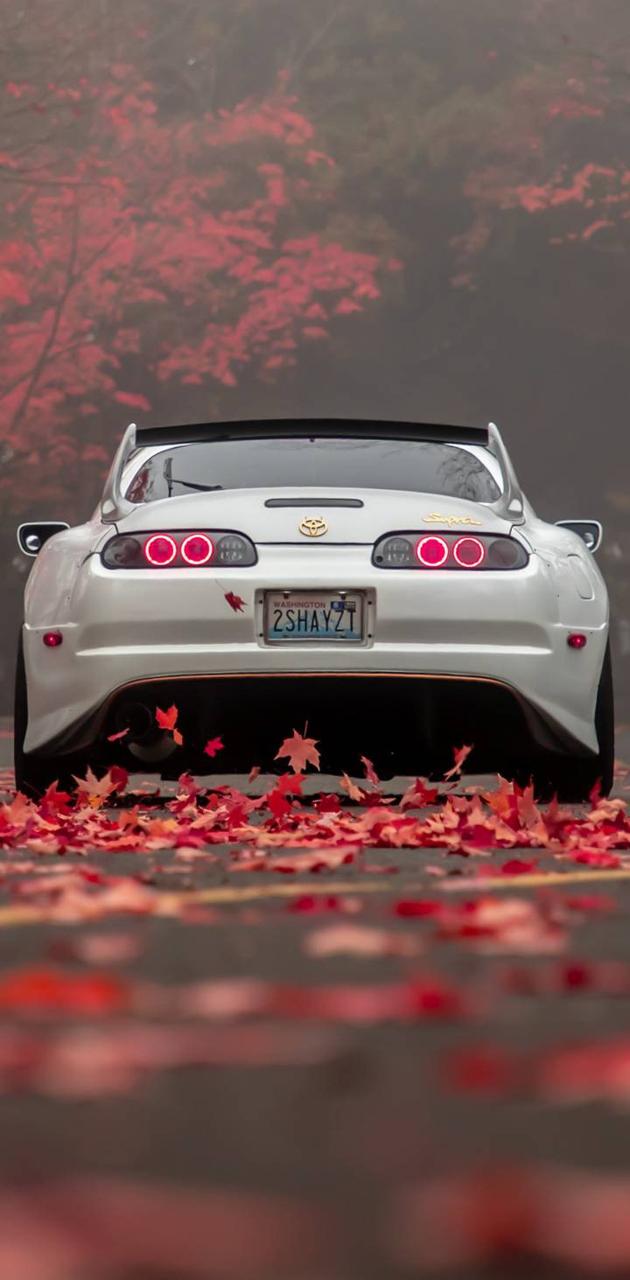 White Supra Wallpapers - Wallpaper Cave