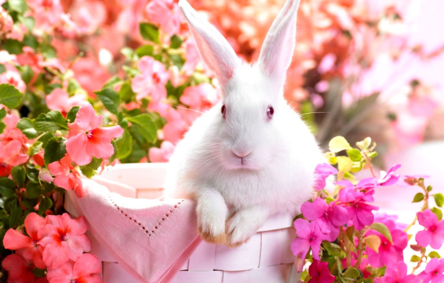 Cute Spring Computer Wallpapers - Wallpaper Cave