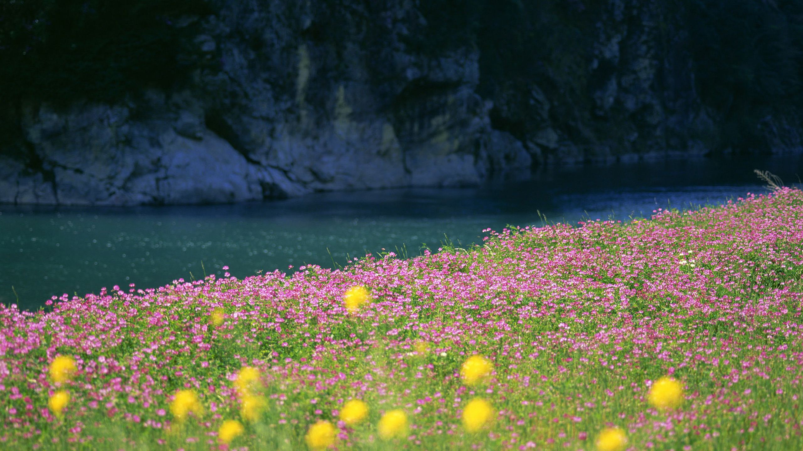 Spring Field And Lakes Wallpapers - Wallpaper Cave
