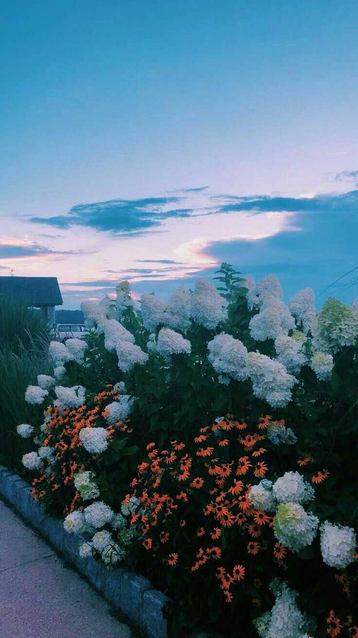 Aesthetic Spring Cute Wallpapers - Wallpaper Cave