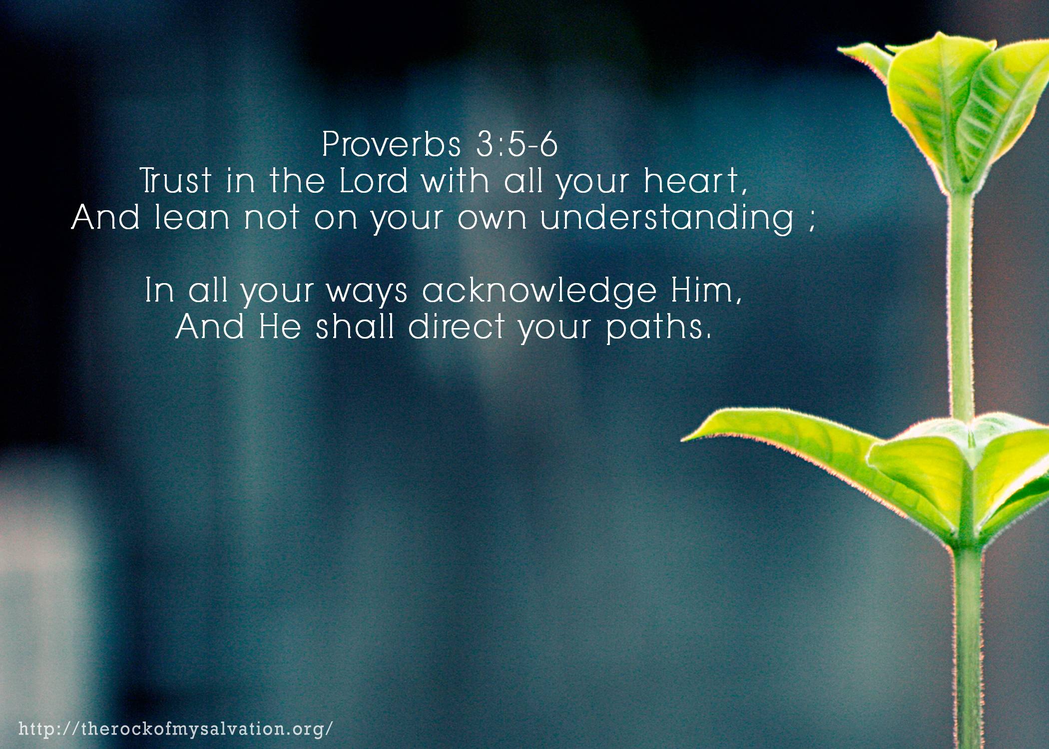 Proverbs 16 3 Wallpapers Wallpaper Cave Proverbs 16 3 Wallpapers Wallpaper Cave