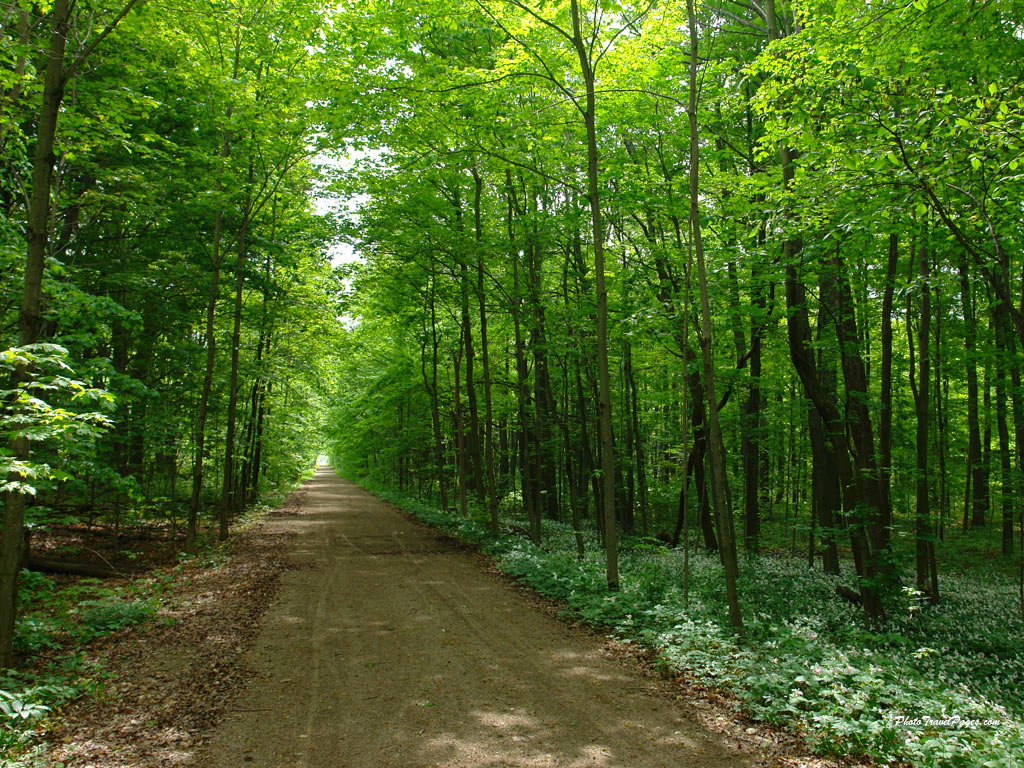 Spring Trails Wallpapers - Wallpaper Cave