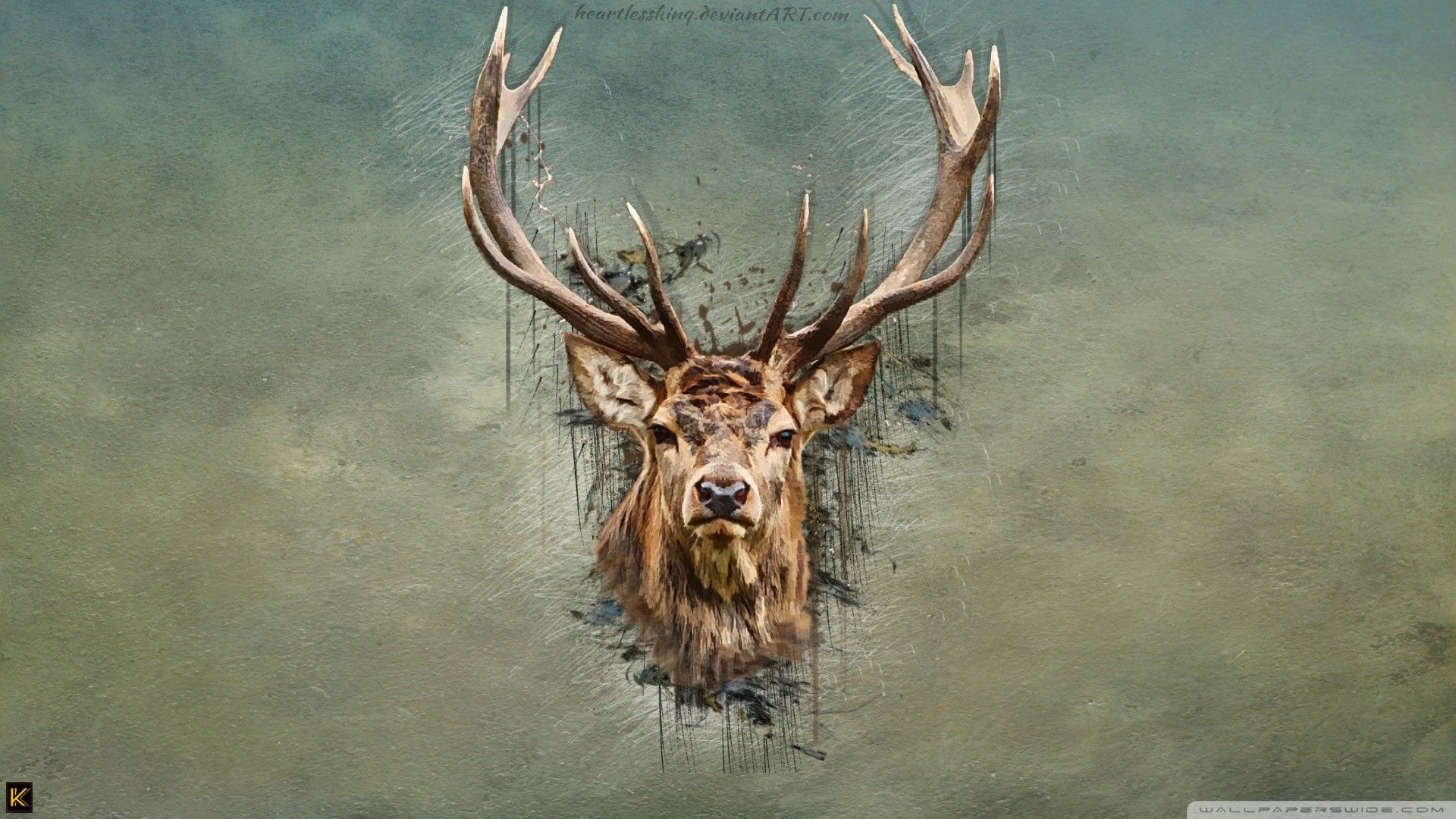 Fallow-deer Wallpapers - Wallpaper Cave