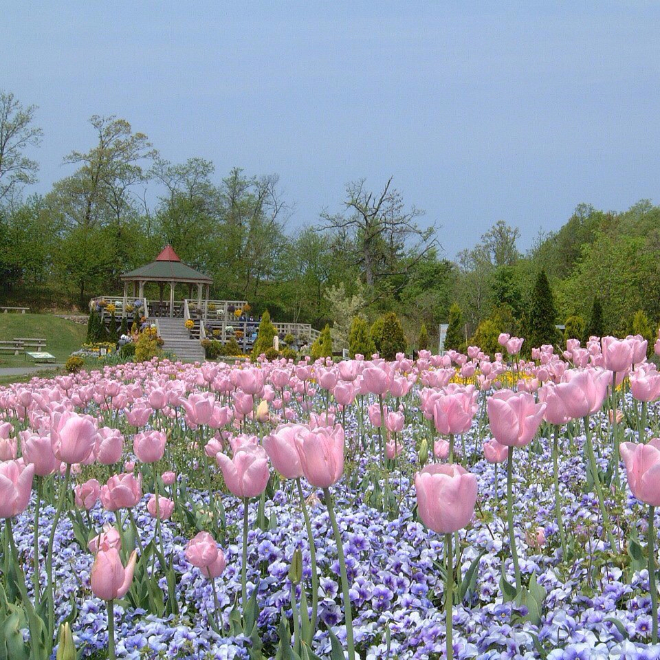 Spring Cotttagecore Wallpapers - Wallpaper Cave