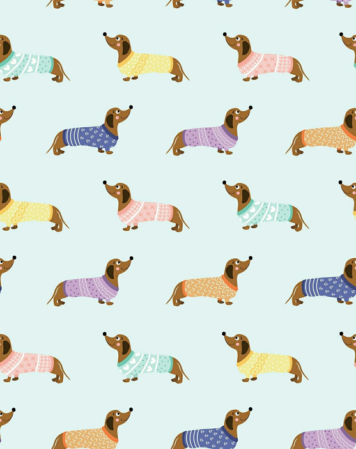 Weenie Dog Wallpapers - Wallpaper Cave