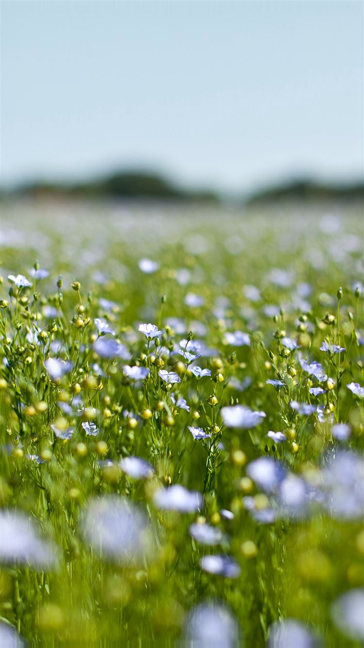 Spring Aesthetic Green Wallpapers - Wallpaper Cave