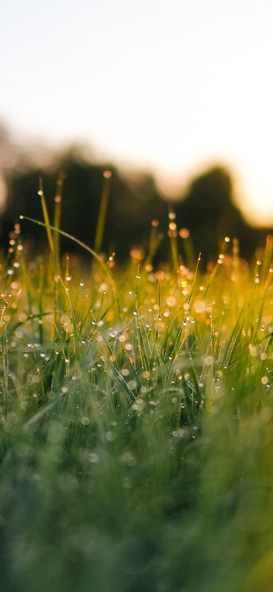 Spring Aesthetic Green Wallpapers - Wallpaper Cave