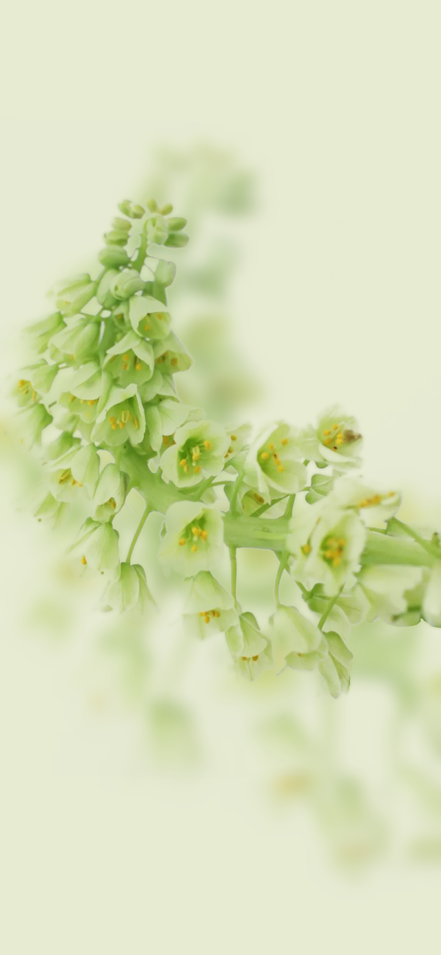 Android 12 Light Wallpapers - Wallpaper Cave