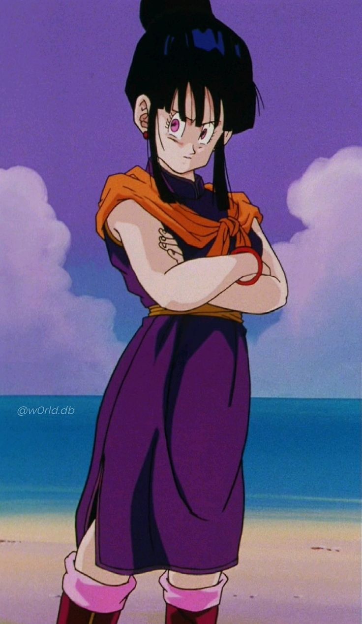 Chi Chi DBZ Wallpapers - Wallpaper Cave