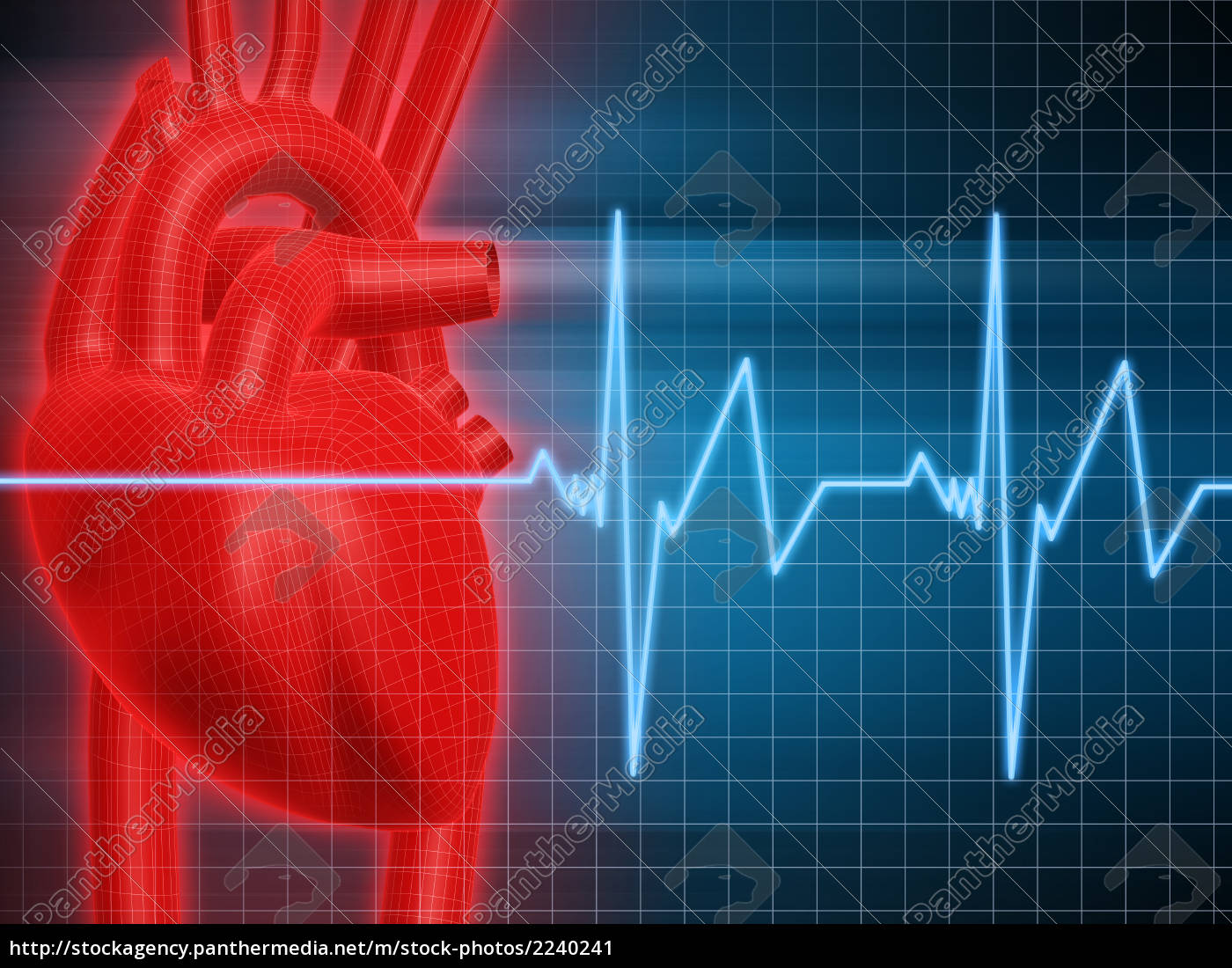 Heart Biology Wallpapers - Wallpaper Cave