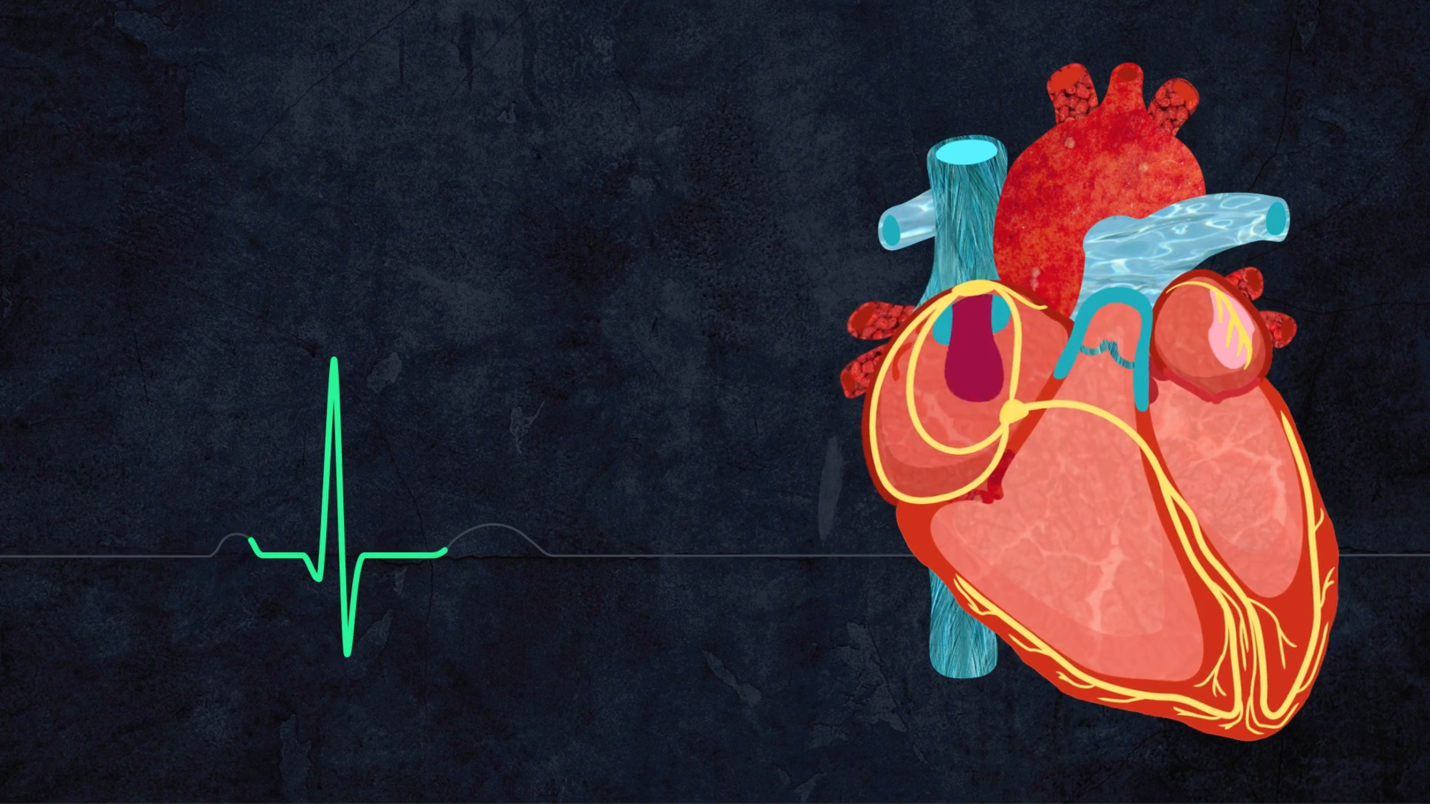 Heart Biology Wallpapers - Wallpaper Cave