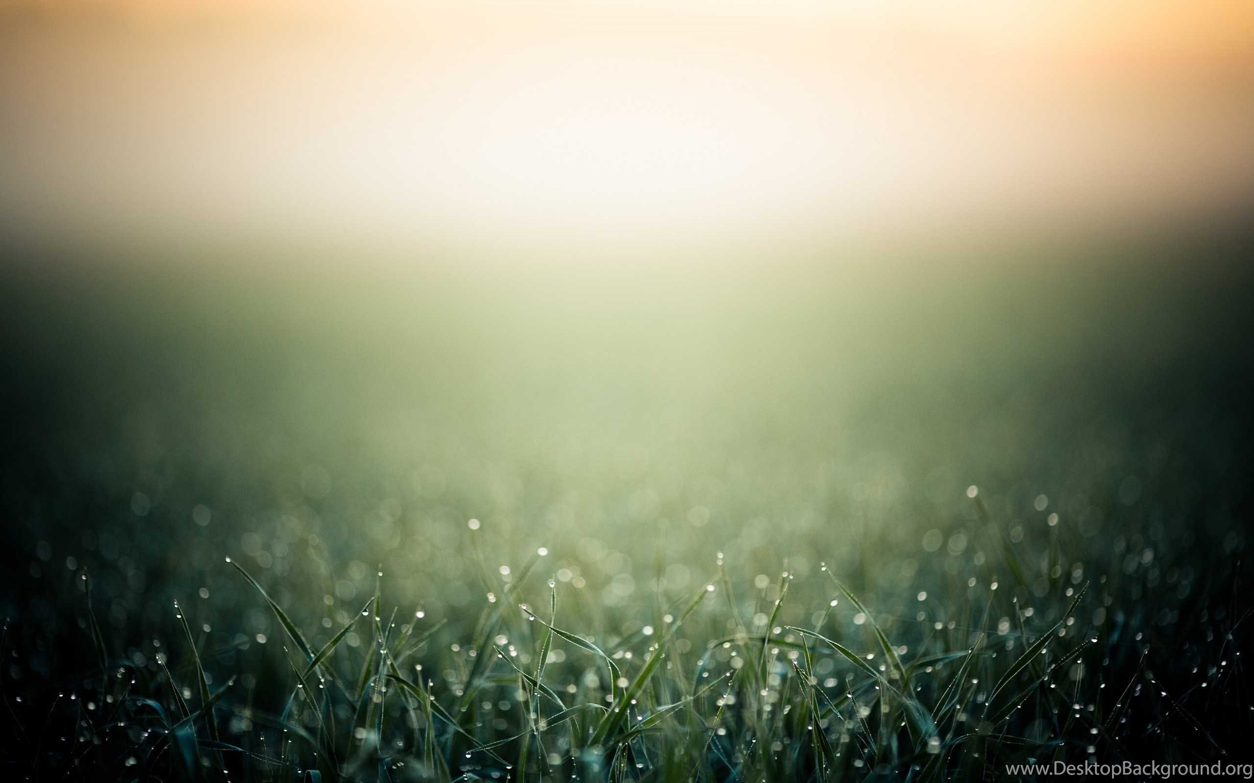 Spring Blur Wallpapers - Wallpaper Cave