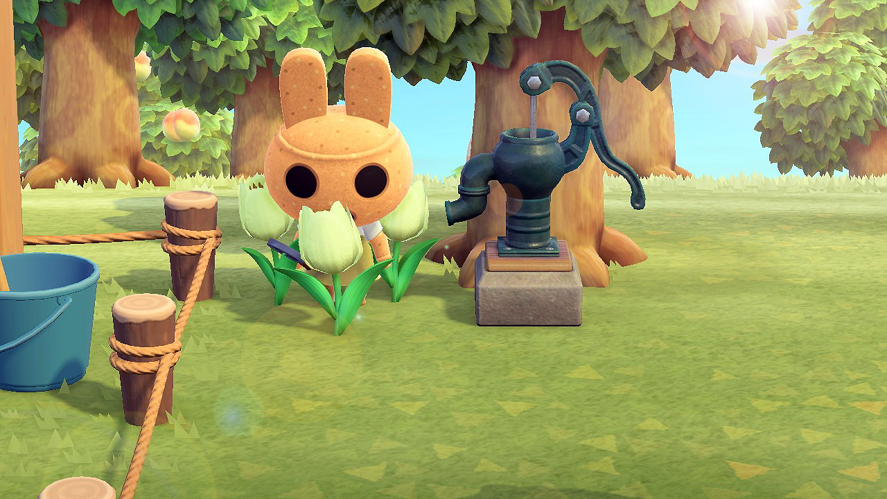 Coco Animal Crossing Wallpapers - Wallpaper Cave