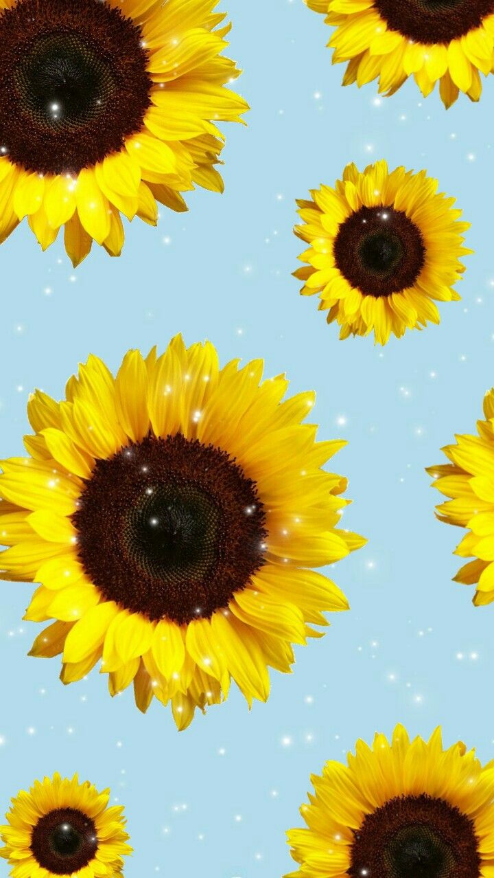 Cute Sunflower Spring Wallpapers - Wallpaper Cave