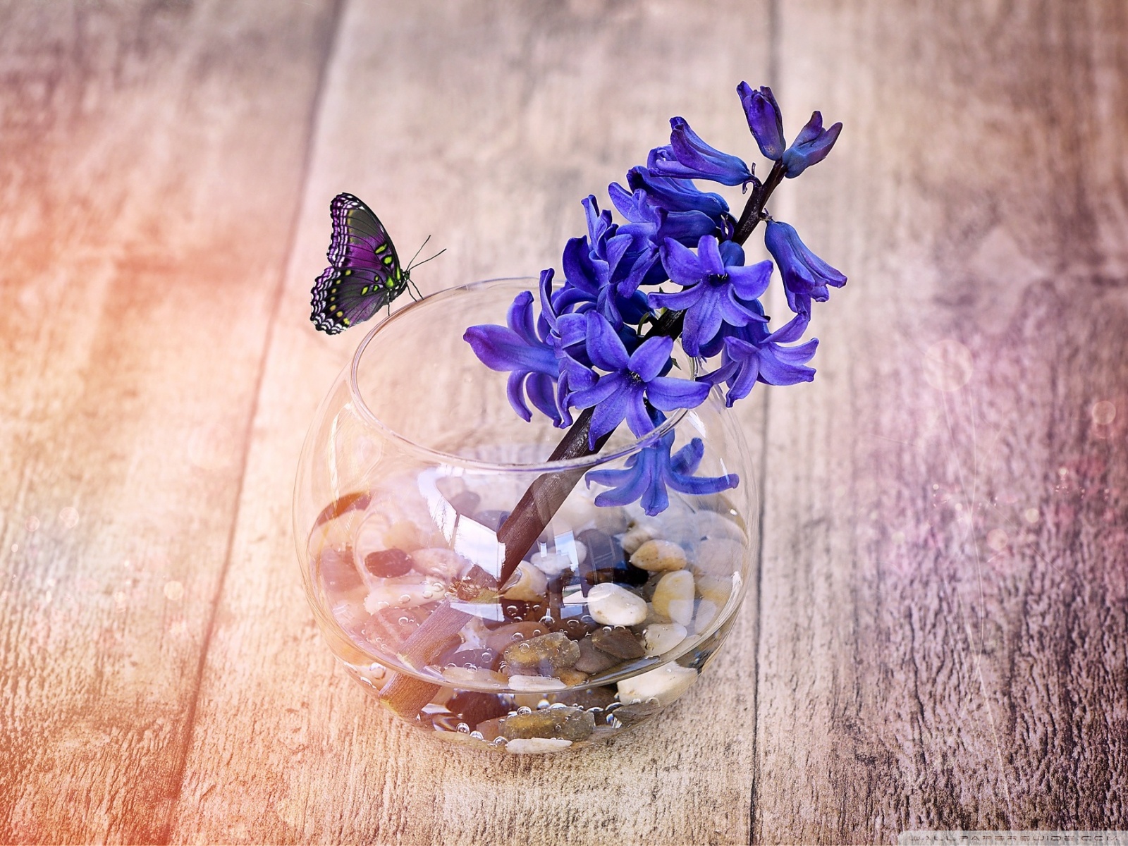 Spring Vintage Desktop Wallpapers - Wallpaper Cave