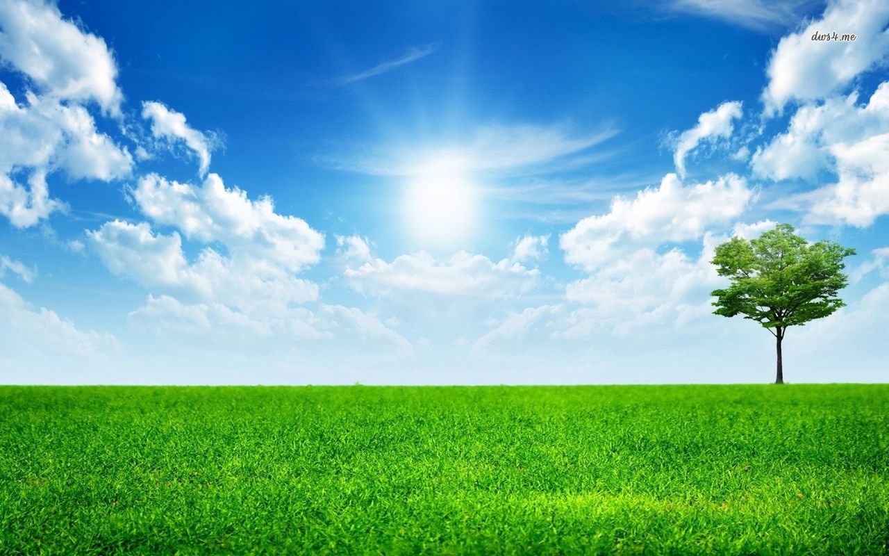 Bright Summer Day Wallpapers - Wallpaper Cave